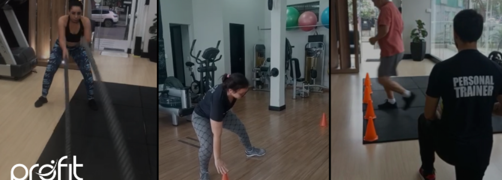 VOCÊ CONHECE O TREINAMENTO FUNCIONAL? - Profit Studio